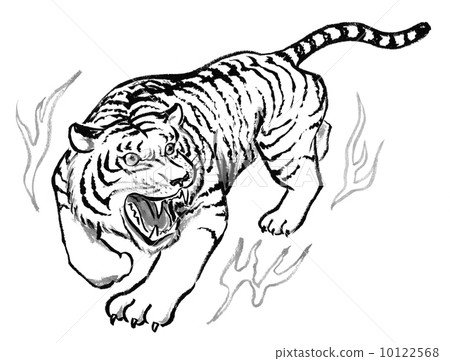 Four God _ white tiger - Stock Illustration [10122568] - PIXTA