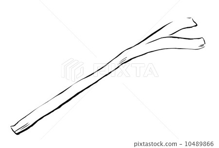 Negi line drawing - Stock Illustration [10489866] - PIXTA
