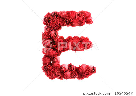 Red roses letter E, isolated on white background - Stock Illustration ...