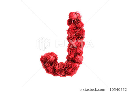 Red roses letter J, isolated on white background - Stock Illustration ...
