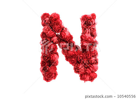 Red roses letter N, isolated on white background - Stock Illustration ...