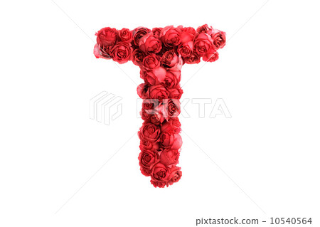 Red roses letter T, isolated on white background - Stock Illustration ...