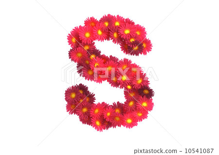 Red flower letter S isolated on white backround - Stock Illustration ...