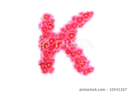 Pink violets letter K - Stock Illustration [10541267] - PIXTA