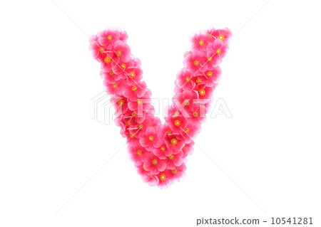 Pink violets letter V - Stock Illustration [10541281] - PIXTA