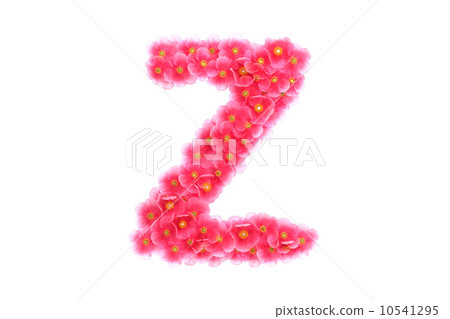 Pink violets letter Z-插圖素材 [10541295] - PIXTA圖庫