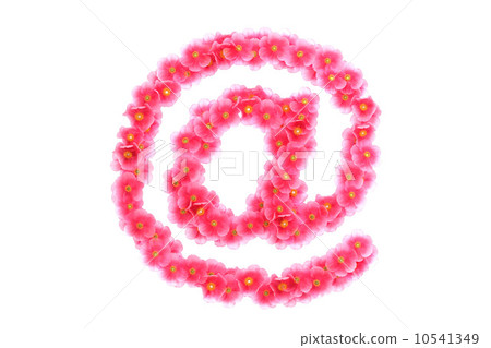 Pink violets symbol - Stock Illustration [10541349] - PIXTA