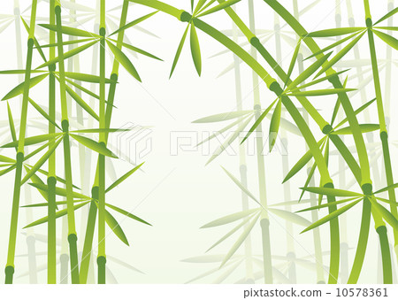 Bamboo, vector illustration - Stock Illustration [10578361] - PIXTA