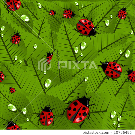 Spring leaves and ladybug pattern - Stock Illustration [10736495] - PIXTA
