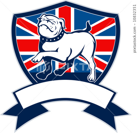 Proud english bulldog british flag shield - Stock Illustration ...