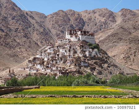 Chemle Gomper-照片素材（圖片） [10897021] - PIXTA圖庫