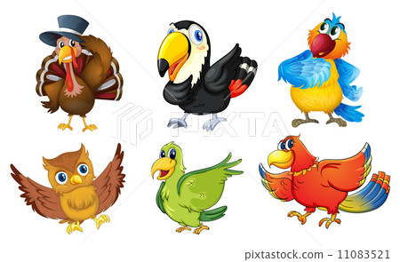 Mixed birds on a white background - Stock Illustration [11083521] - PIXTA