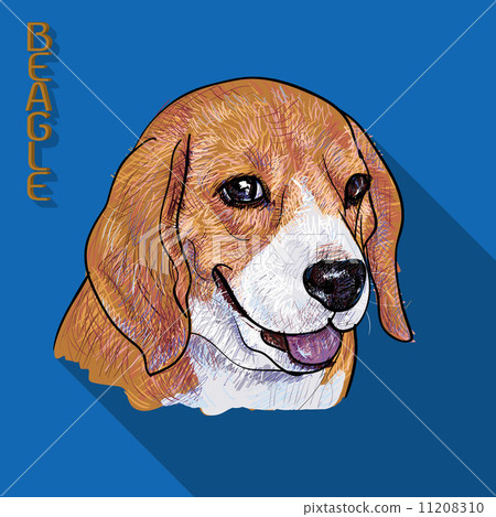 Beagle portrait with long shadow - Stock Illustration [11208310] - PIXTA
