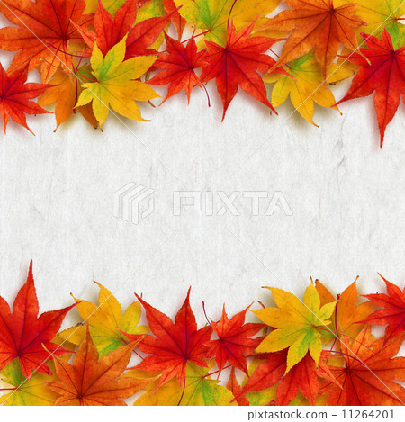 Autumn leaves Maple autumn frame - Stock Illustration [11264201] - PIXTA