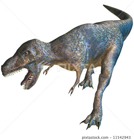 T-REX☆霸王龍-插圖素材 [11542943] - PIXTA圖庫