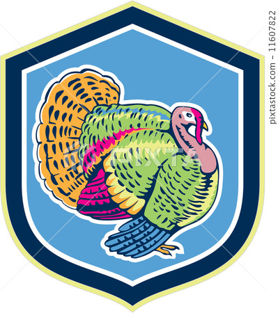 Wild Turkey Side View Shield Retro-插圖素材 [11607822] - PIXTA圖庫