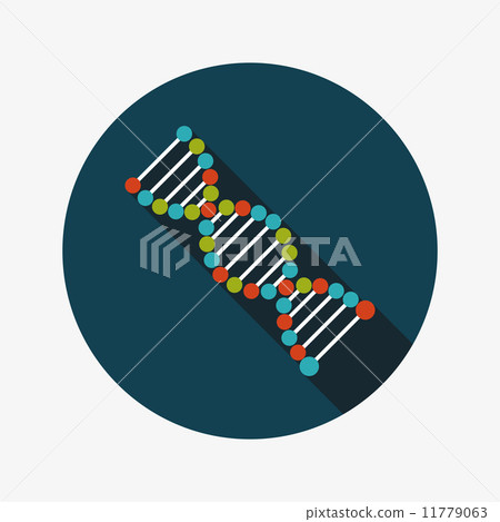 DNA flat icon with long shadow - Stock Illustration [11779063] - PIXTA