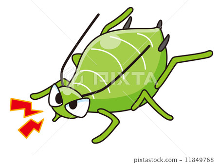 Aphids - Stock Illustration [11849768] - PIXTA