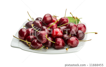 Gean - cherry - Stock Photo [11888455] - PIXTA