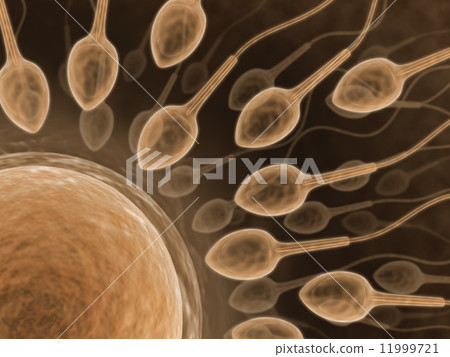 Fecundation - Stock Illustration [11999721] - PIXTA