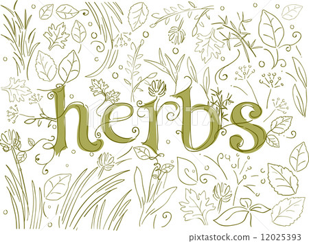 Herbs Doodle - Stock Illustration [12025393] - PIXTA