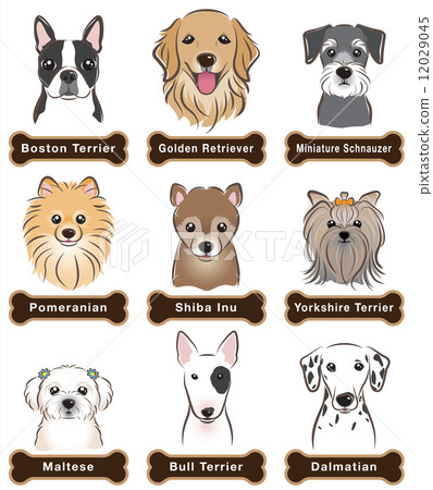 Dog / Nameplate - Stock Illustration [12029045] - PIXTA