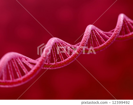 DNA on red background - Stock Illustration [12399492] - PIXTA