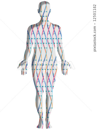 Double spiral structure pattern in human body... - Stock Illustration ...