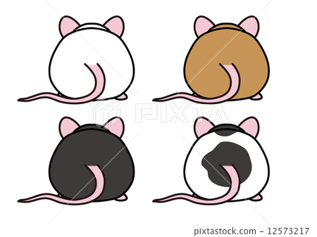 Mus musculus (behind) - Stock Illustration [12573217] - PIXTA