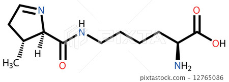 Amino acid pyrrolysine structural formula - Stock Illustration ...