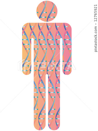 Double spiral structure pattern in human body... - Stock Illustration ...