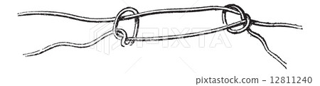 Englishman's Knot, vintage engraving - Stock Illustration [12811240 ...