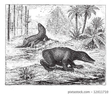 Labyrinthodon or Labyrinthodontia, vintage... - Stock Illustration ...