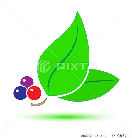 leaf icon - Stock Illustration [12956271] - PIXTA