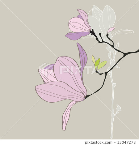 Card with stylized magnolia retro - Stock Illustration [13047278] - PIXTA