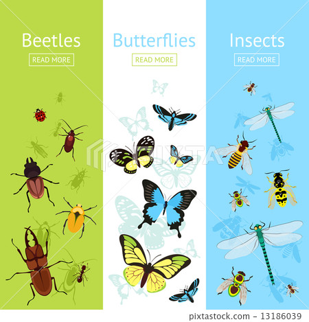Insects banner set - Stock Illustration [13186039] - PIXTA