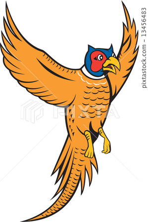 Pheasant Bird Fowl Flying Cartoon - Stock Illustration [13456483] - PIXTA