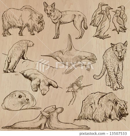 Animals - An hand drawn vector pack-插圖素材 [13507533] - PIXTA圖庫