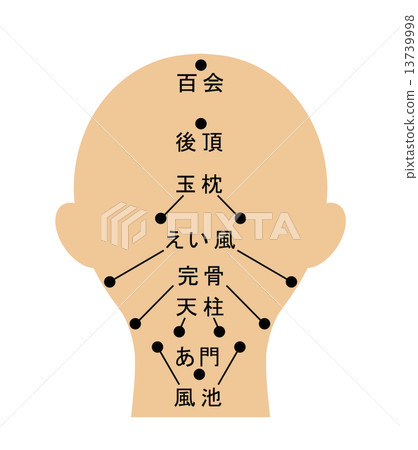 Head acupoint - Stock Illustration [13739998] - PIXTA