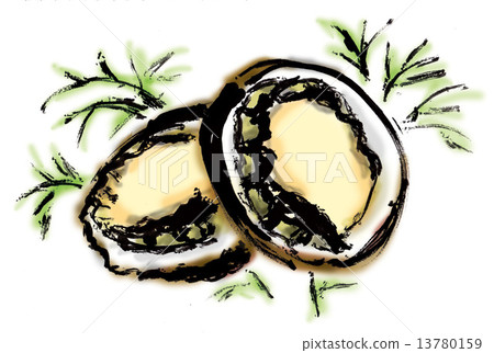 Abalone - Stock Illustration [13780159] - PIXTA