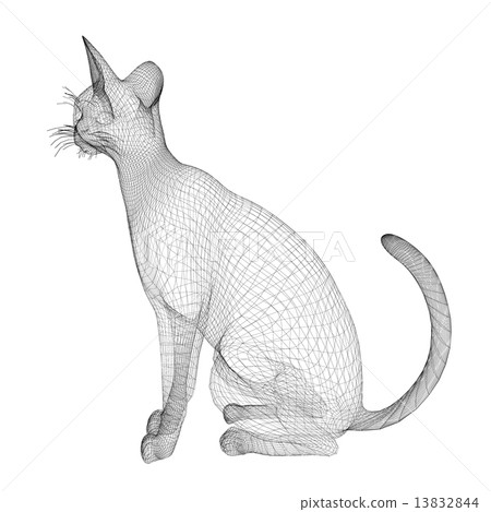 cat wire model-插圖素材 [13832844] - PIXTA圖庫