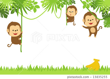 Monkey frame jungle - Stock Illustration [13835255] - PIXTA