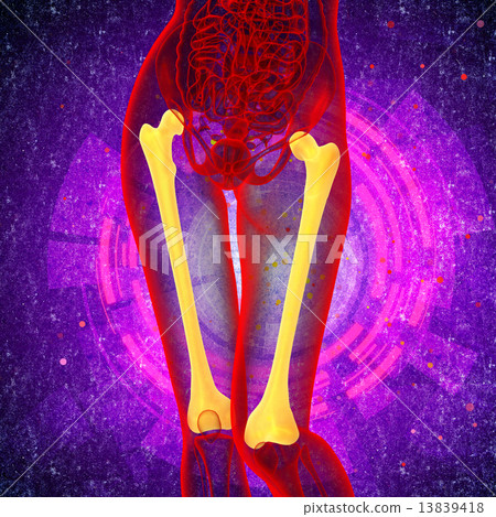 3d render medical illustration of the femur bone - Stock Illustration ...