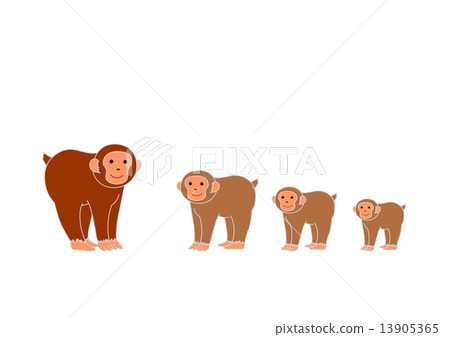 Monkey 4 - Stock Illustration [13905365] - PIXTA