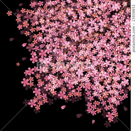 Sakura night brown cherry background - Stock Illustration [13938651 ...