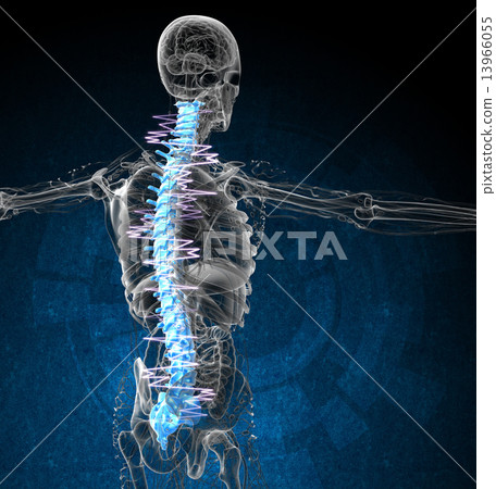 3d render medical illustration of the painful back - Stock Illustration ...