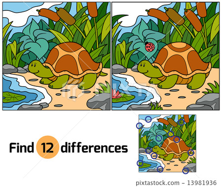Find differences (turtle) - Stock Illustration [13981936] - PIXTA