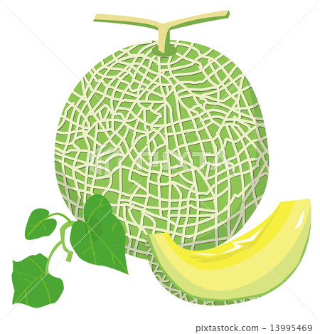 Fruit _ mask melon - Stock Illustration [13995469] - PIXTA