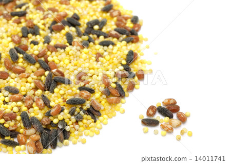 Five grain rice - Stock Photo [14011741] - PIXTA