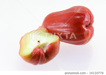 Bell fruit Jamrul-照片素材（圖片） [14110778] - PIXTA圖庫